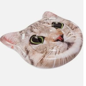 Intex | Games | Intex Cat Face Island Floatie | Poshmark